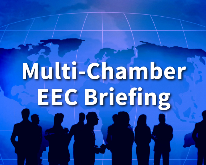 19/09/25: GTCC Multi-Chamber EEC Briefing with Forvis Mazars
